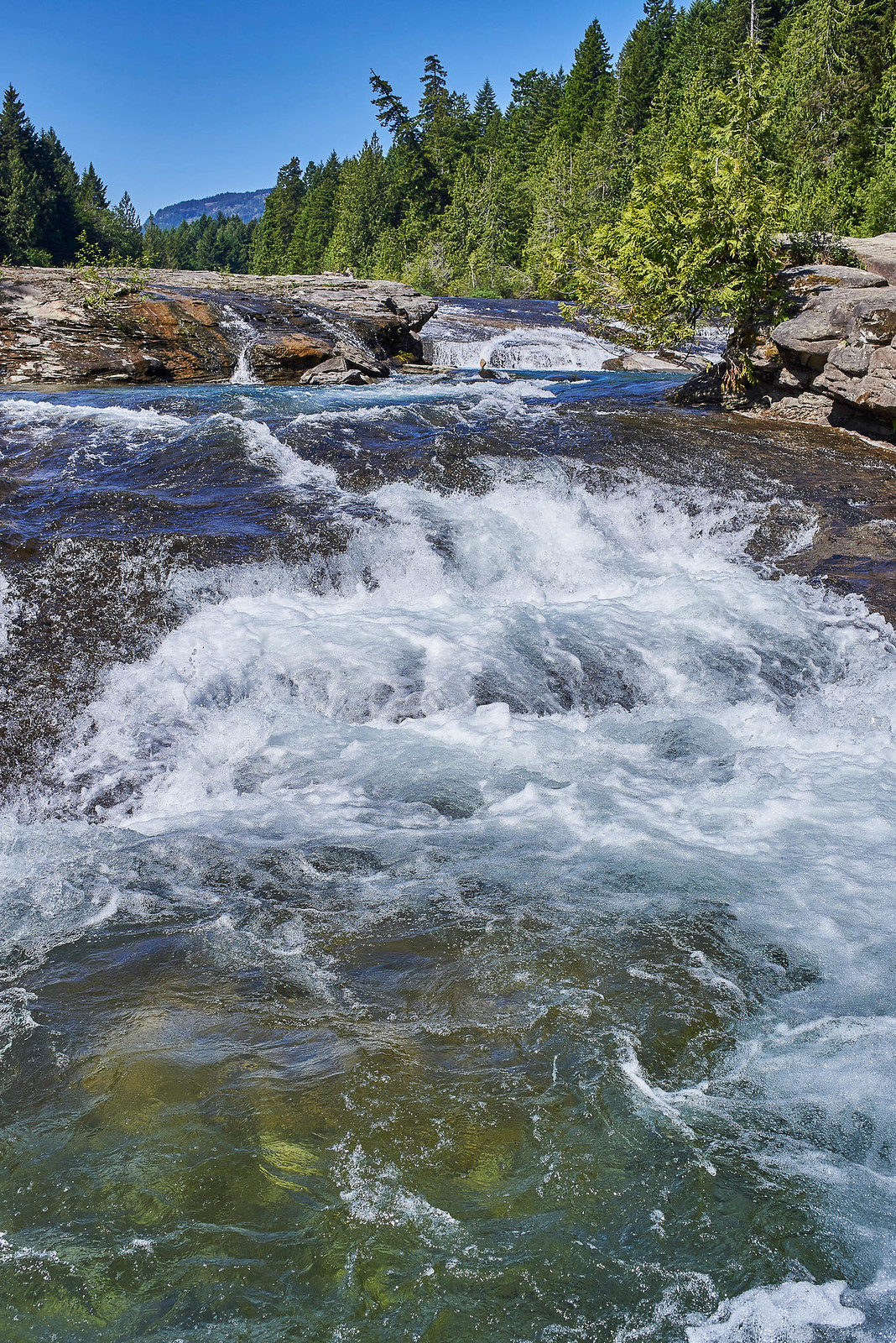 Digital Solutions for Vancouver Island Businesses | Riverway